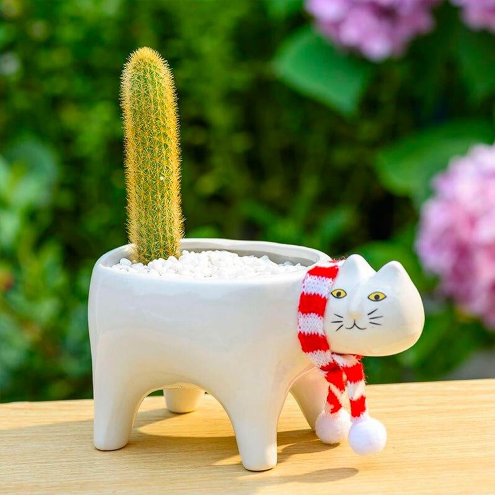 Kat Pot – PeekWise